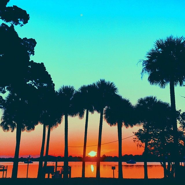 Black Dolphin Inn | Official Website, Best Rates | 916 S Riverside ...