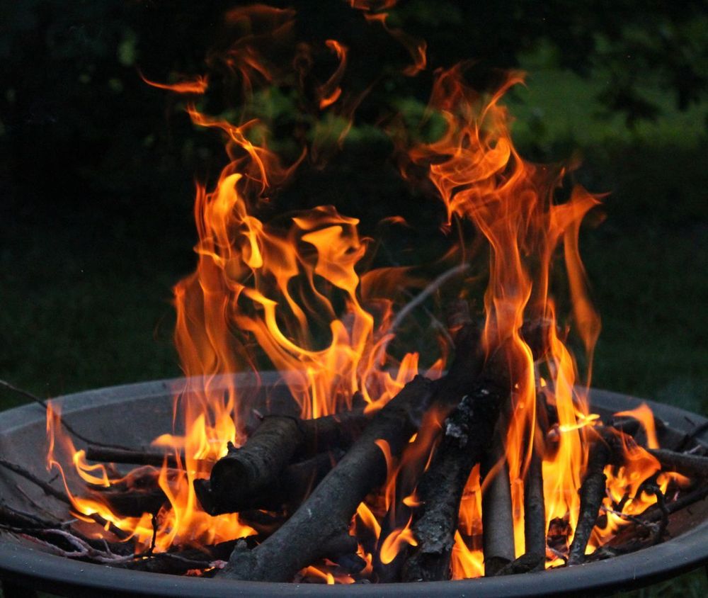 Black Dolphin Inn | Official Website, Best Rates | 916 S Riverside ...